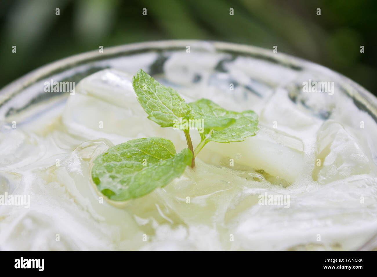 Cold Green Tea Milk Beverage or Cold Drinks Close-Up View. Green cold ...