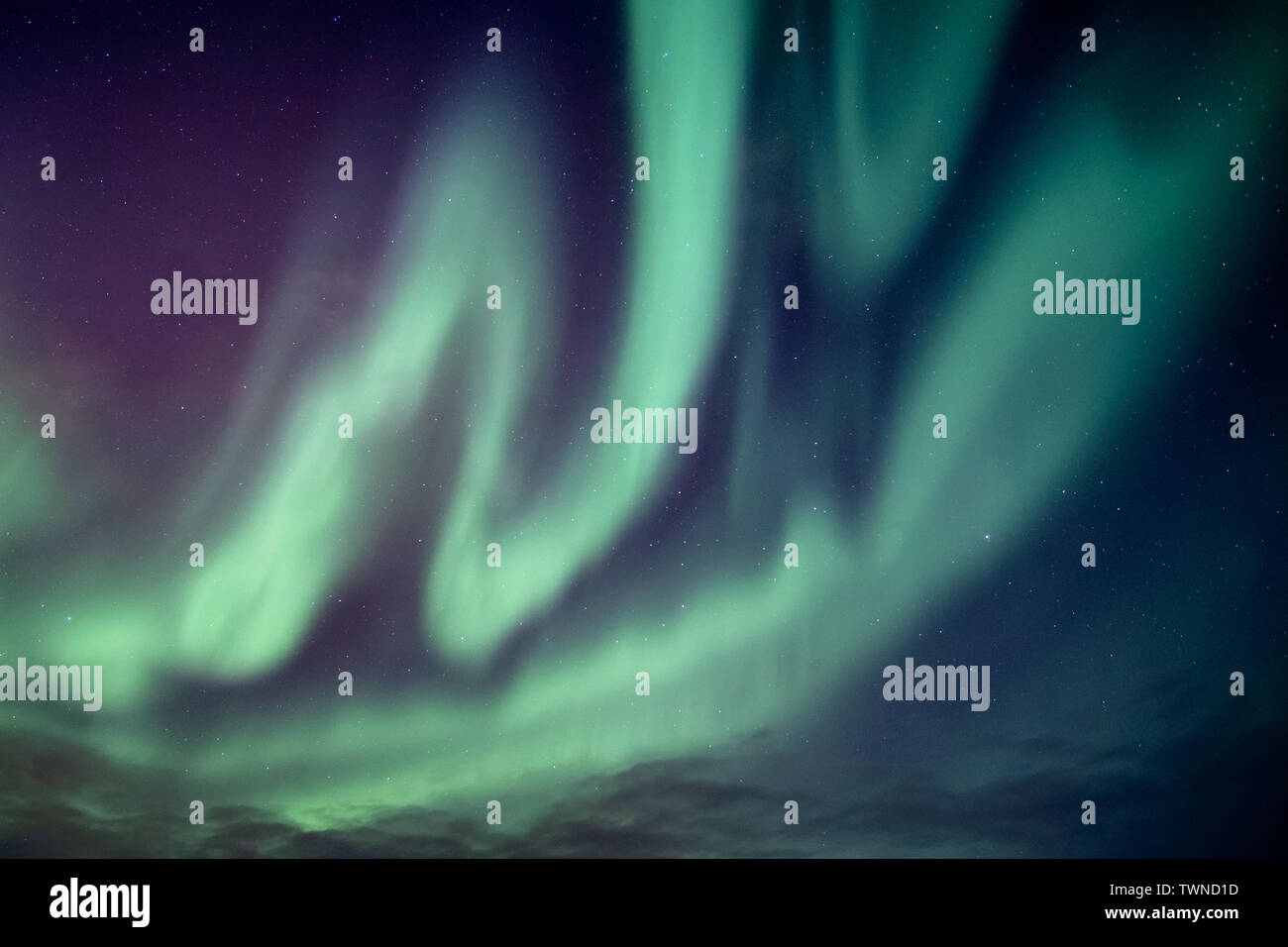 Aurora borealis northern lights dance the dark night sky hi-res stock ...