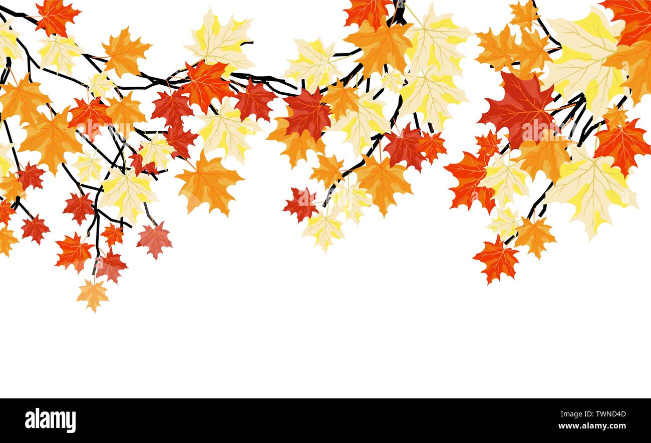 Autumn maples falling leaves background. Vector illustration Stock ...