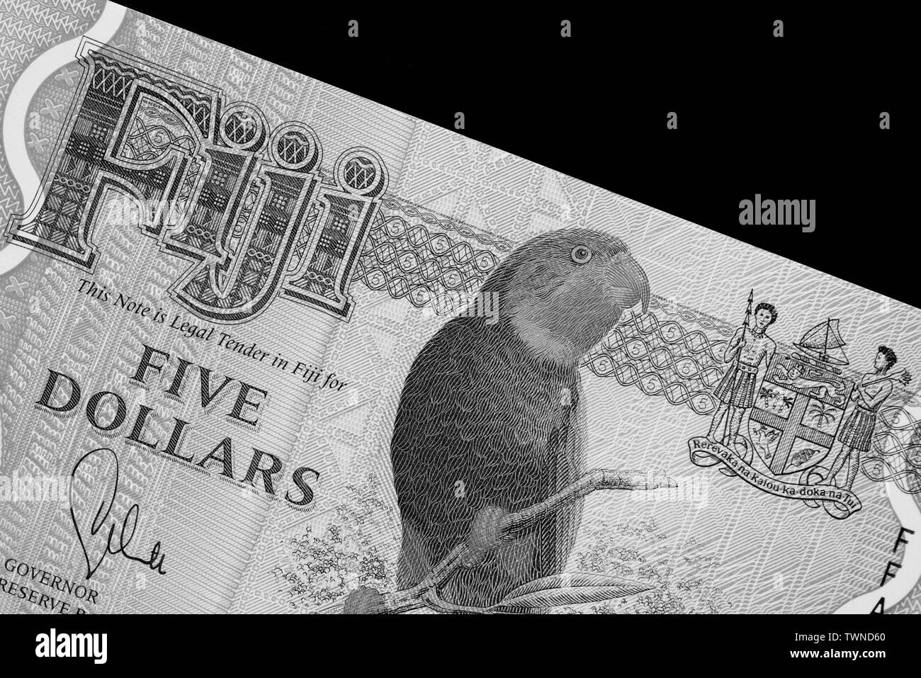 Five Fijian dollars banknote on a black background close up. Black and ...