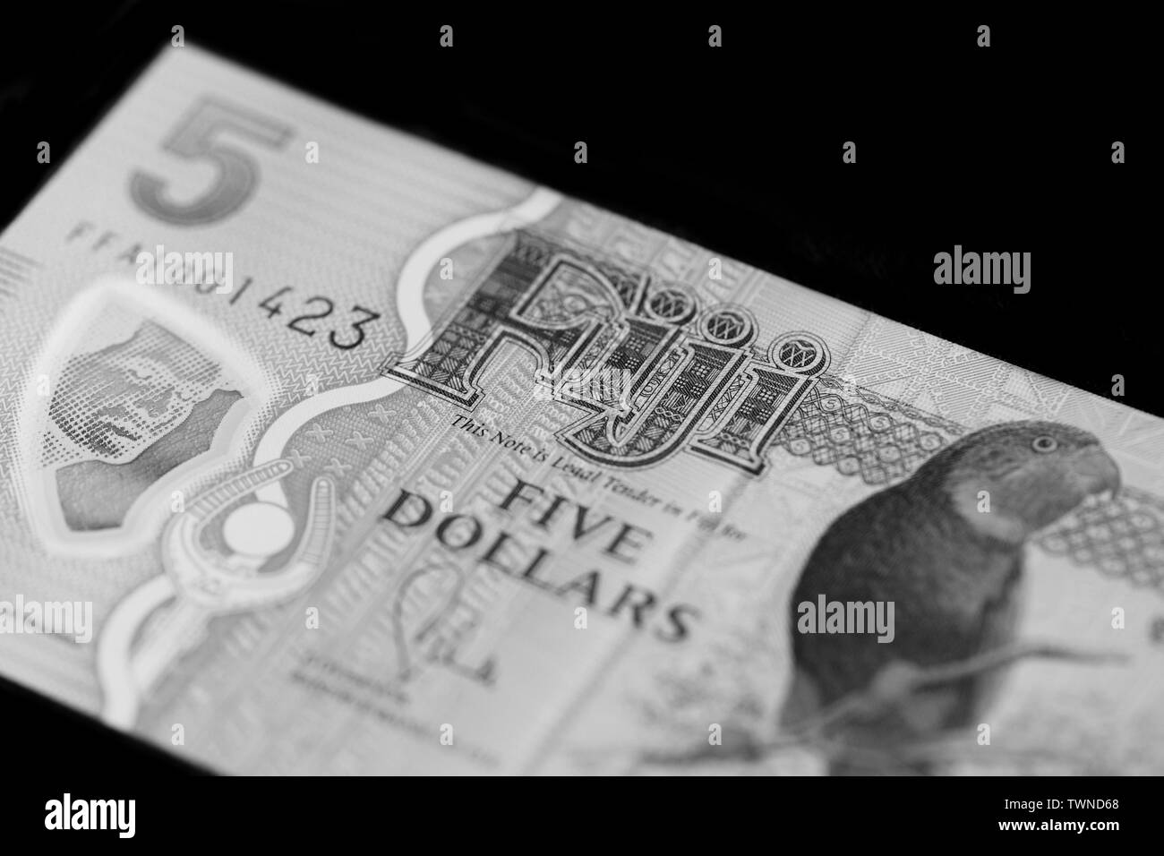Five Fijian dollars banknote on a black background close up. Black and ...