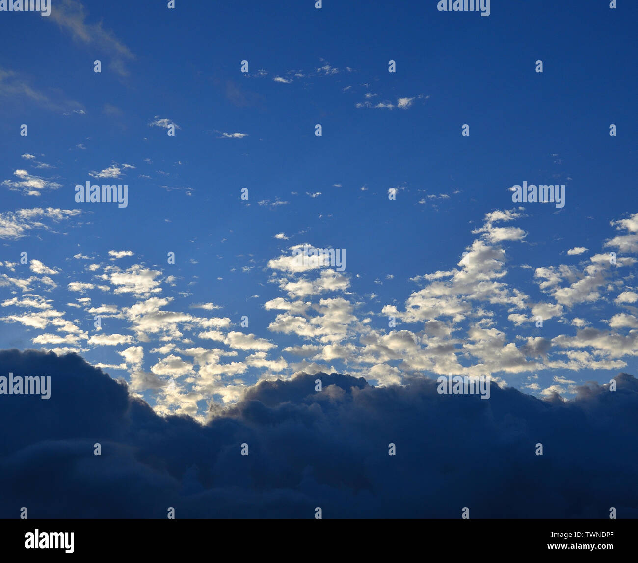 Dawn with intense blue sky and low clouds of peculiar shapes Stock ...