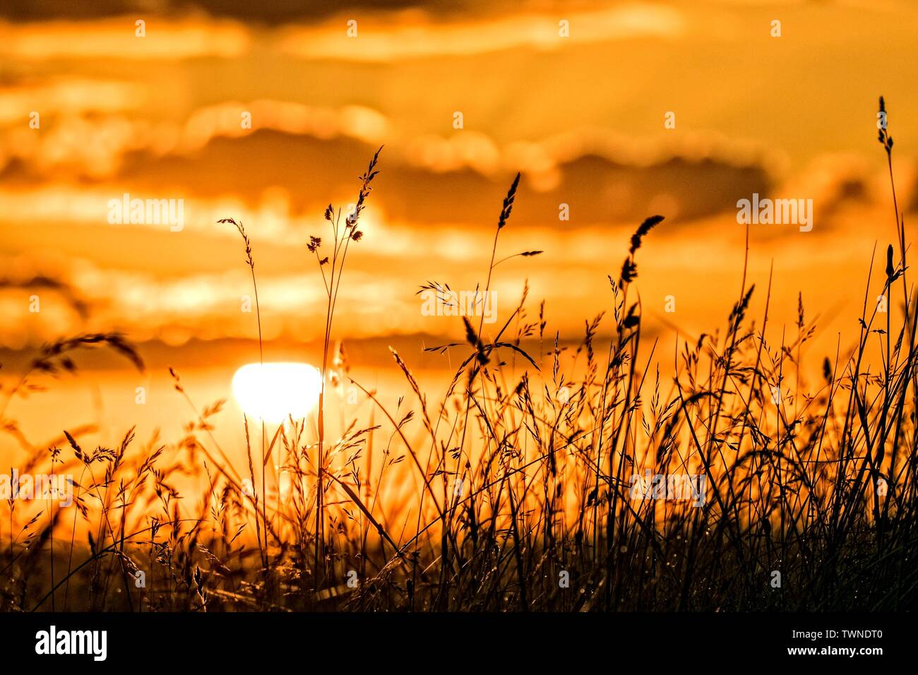 Rspb Marshside Nature Reserve High Resolution Stock Photography and ...