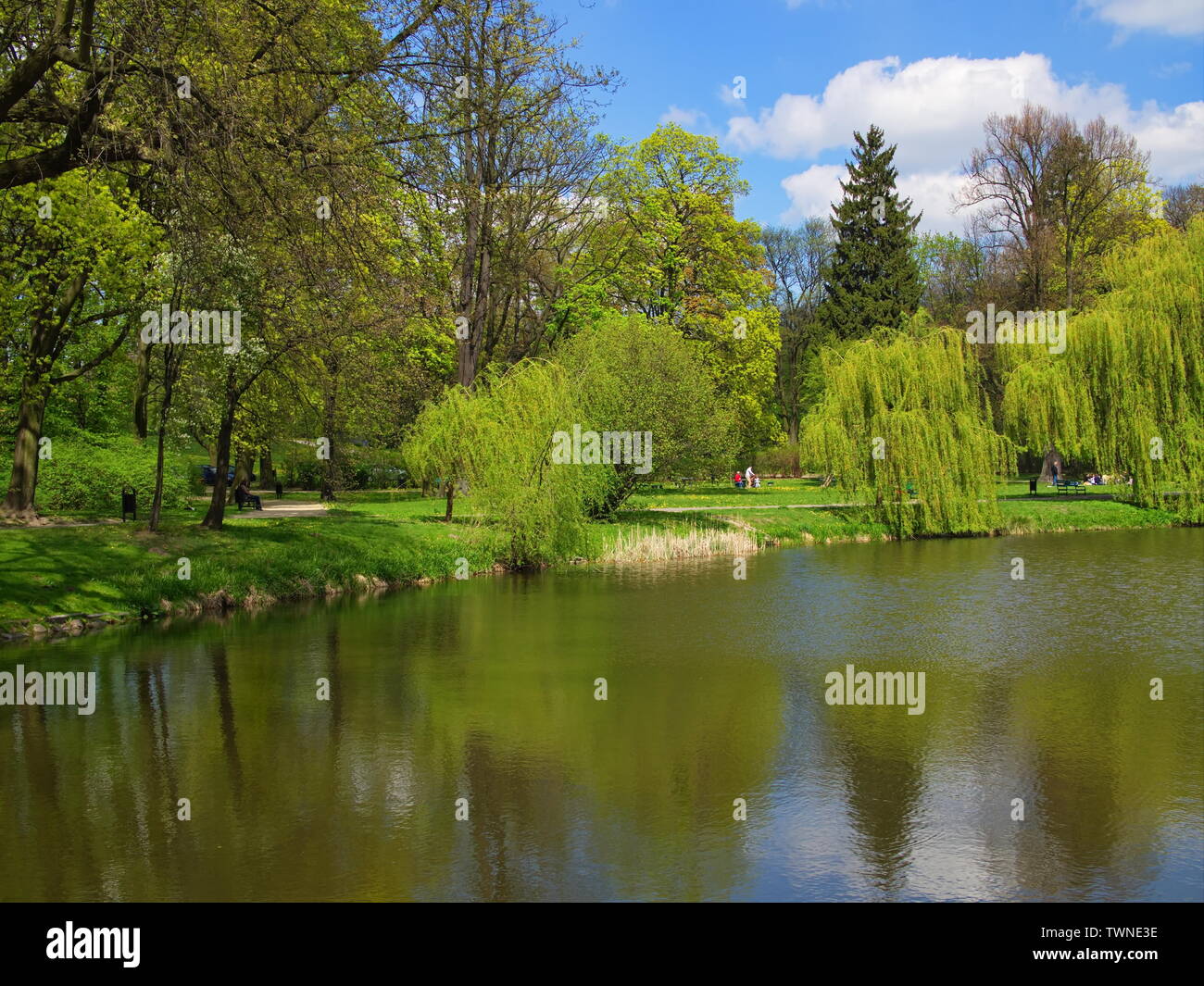 Spring awaken hi-res stock photography and images - Alamy