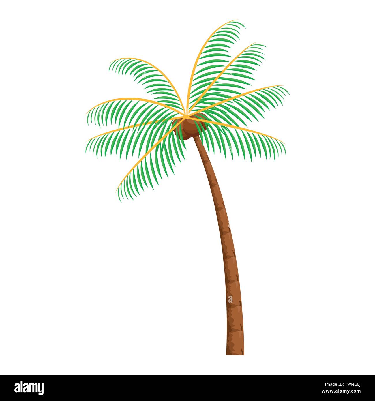 palm with coconut icon cartoon Stock Vector Image & Art - Alamy