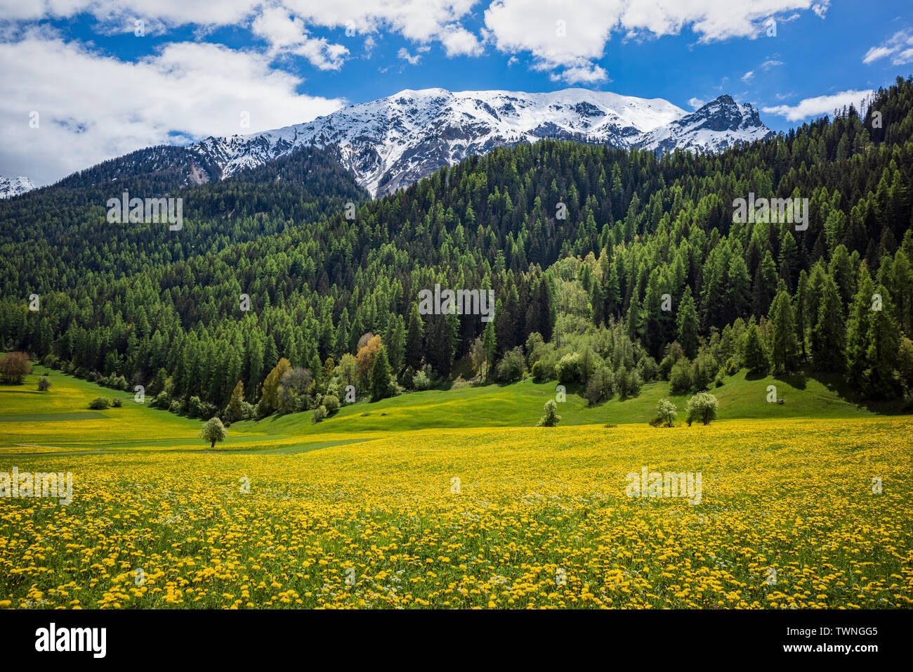 landscape in the alps Stock Photo - Alamy