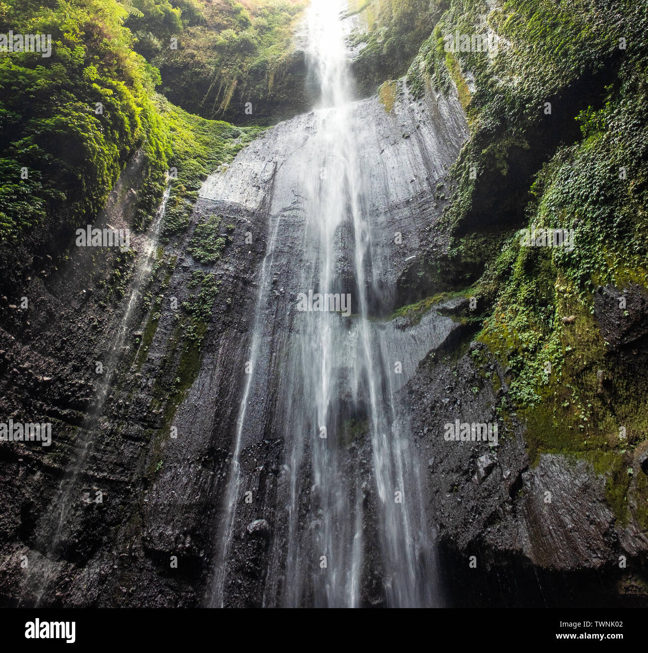 Majestic waterfall flowing on rocky cliff in tropical rainforest ...