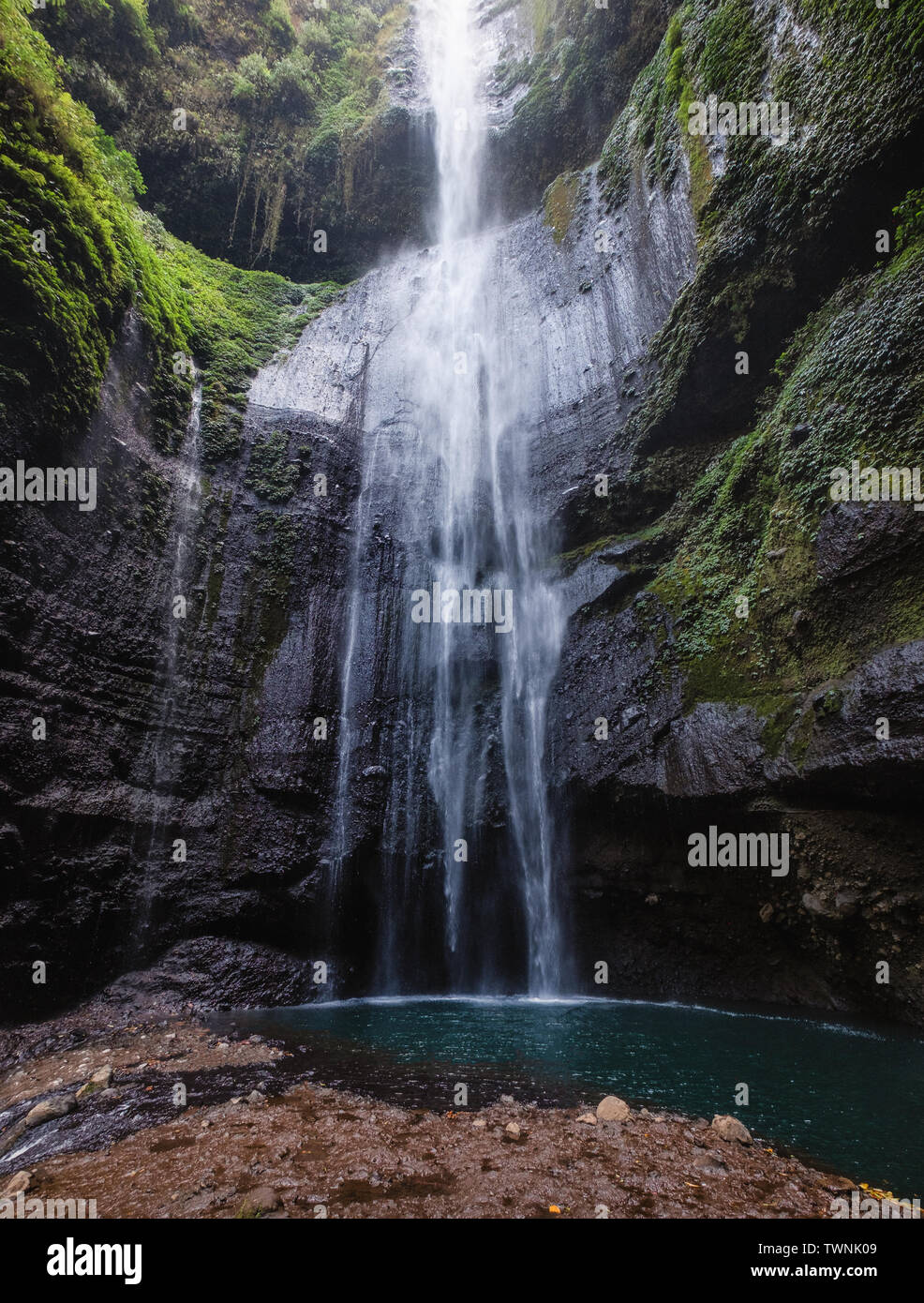 Majestic waterfall flowing on rock cliff in rainforest. Madakaripura ...