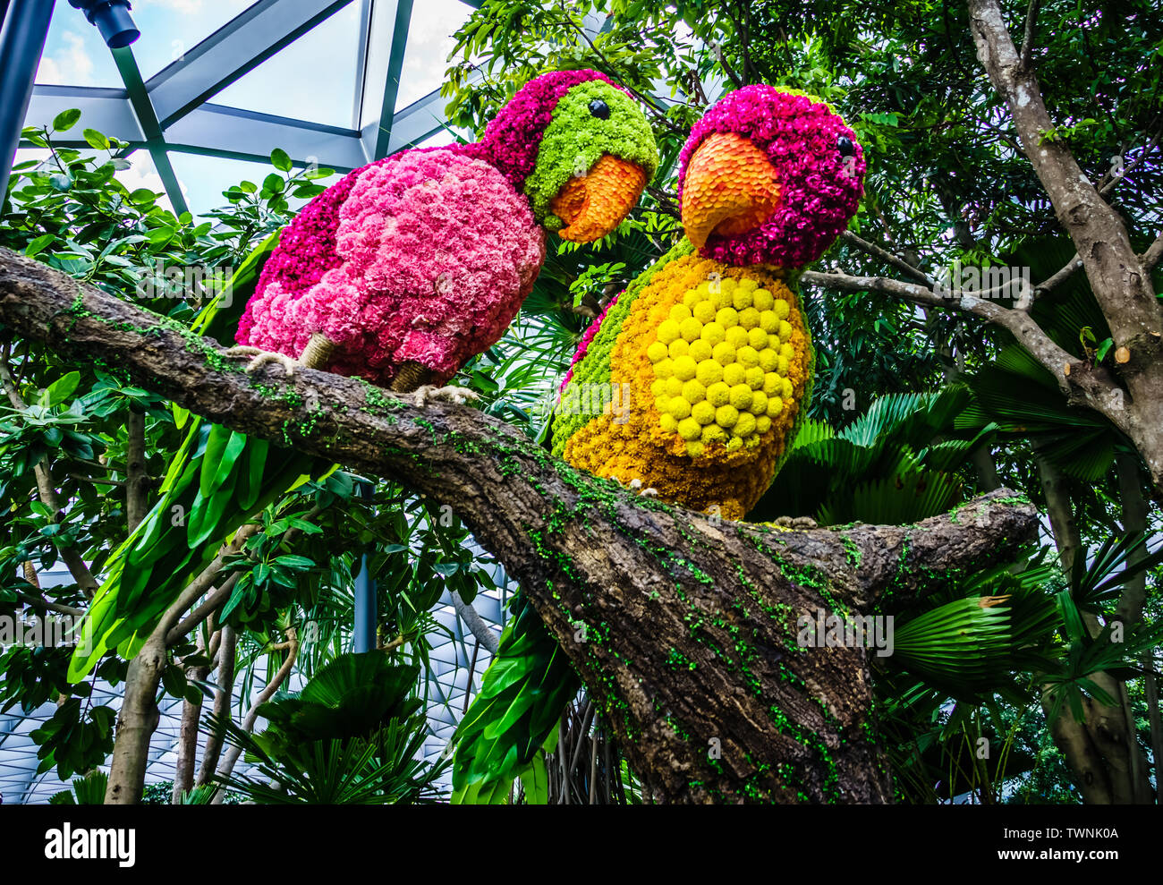 Singapore - Jun 11, 2019: Topiary Walk in Jewel. Jewel Changi Airport ...