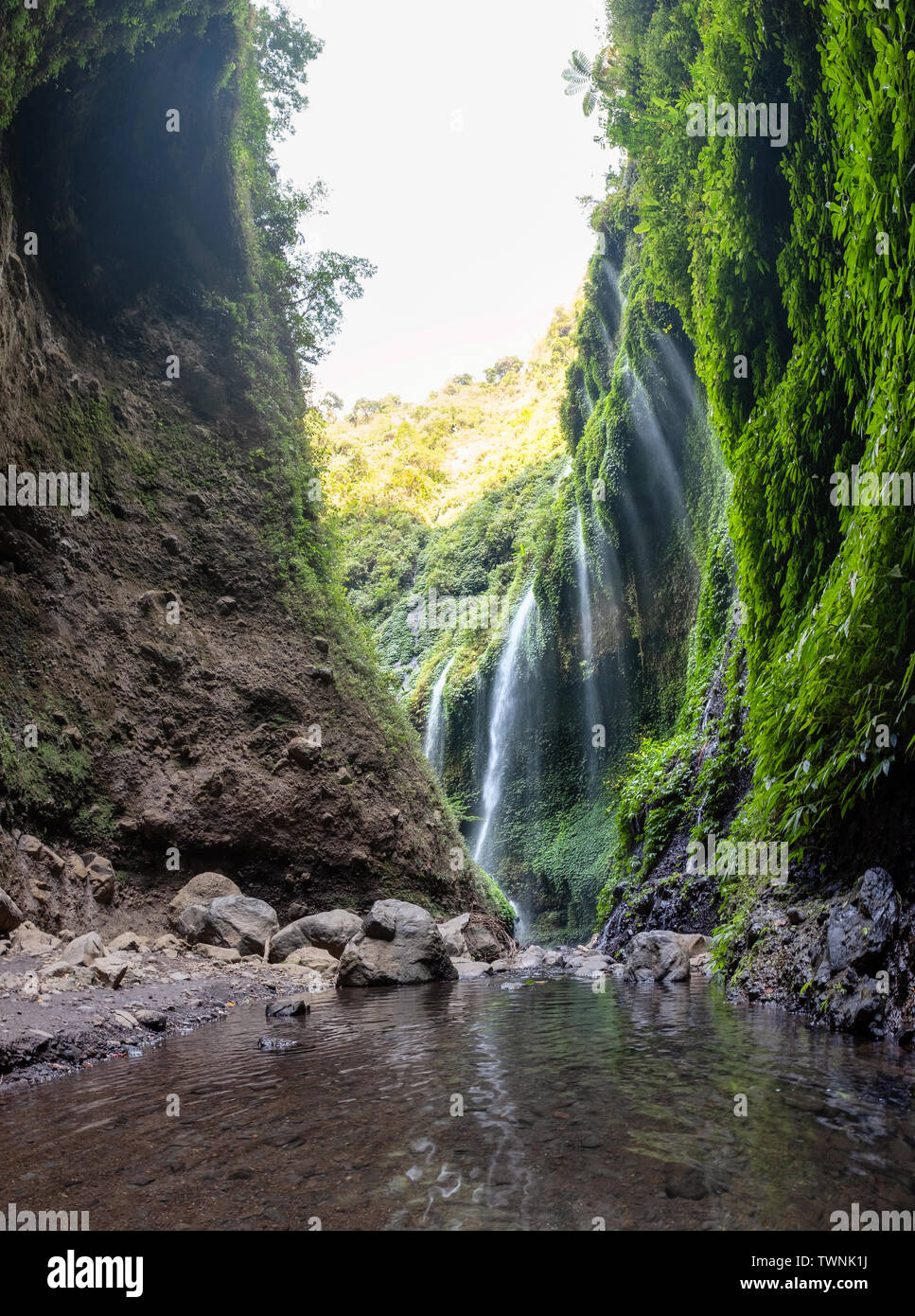 Majestic waterfall flowing on rocky cliff in tropical rainforest ...