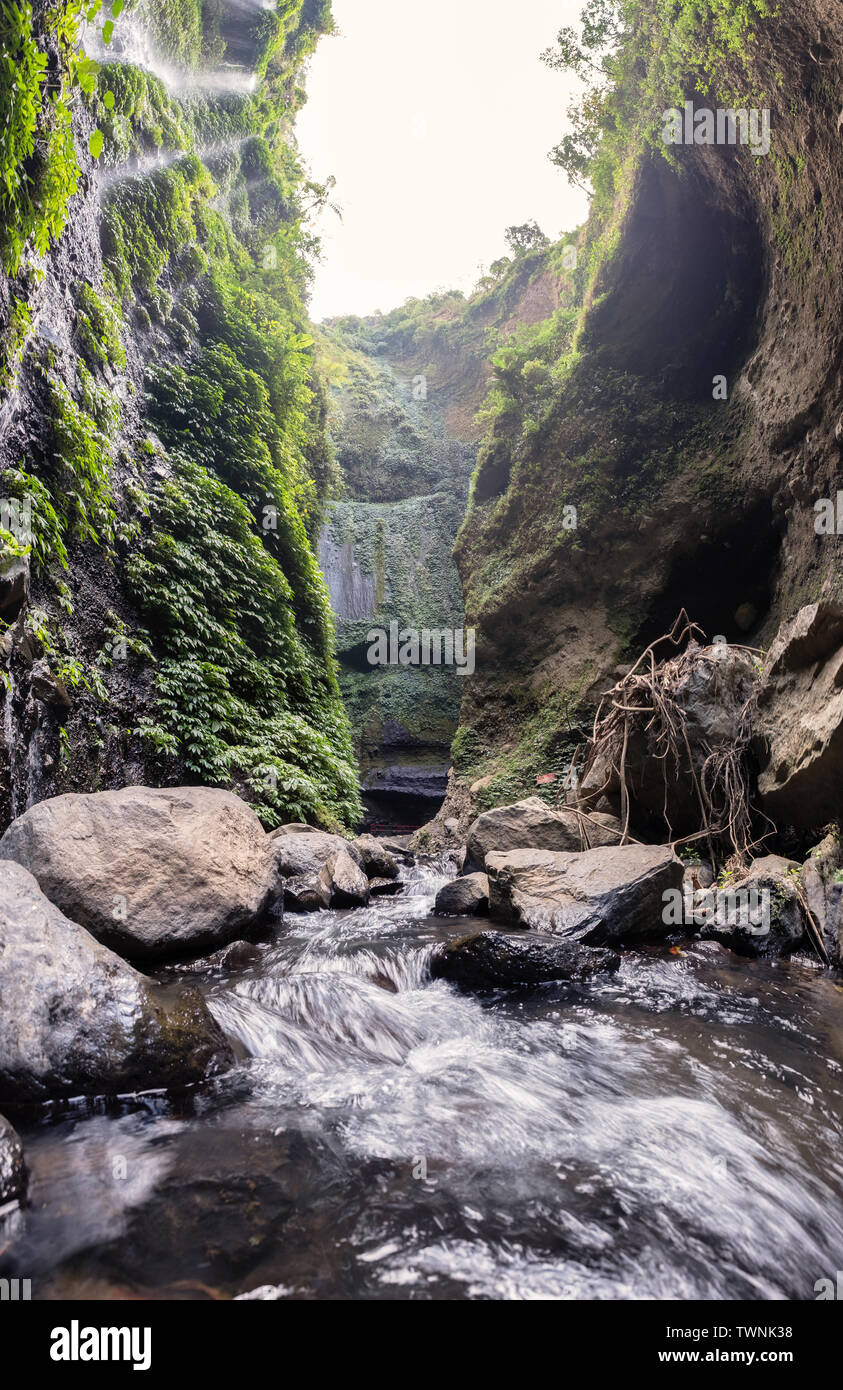 Majestic waterfall flowing on rocky cliff in tropical rainforest ...