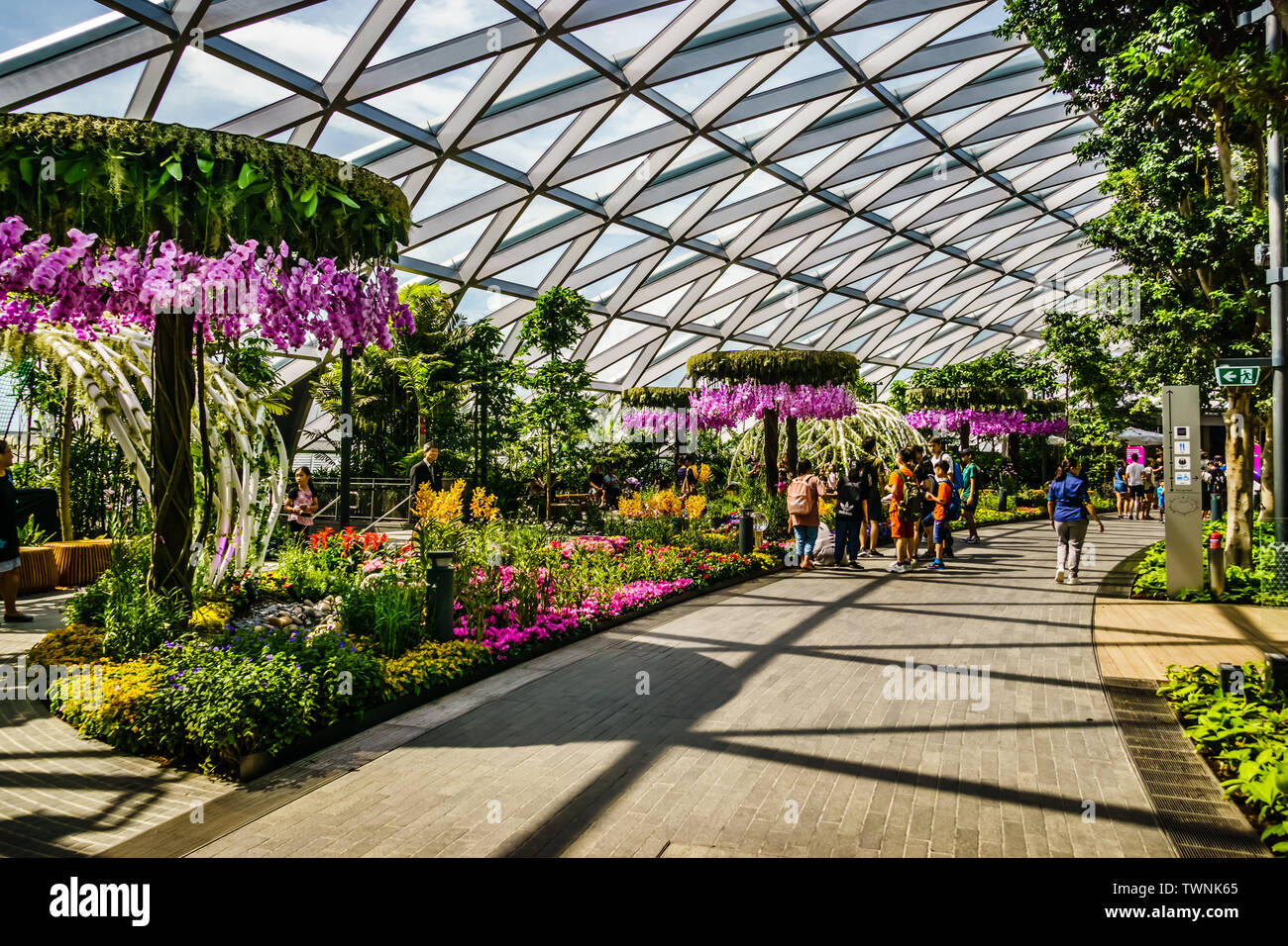 Singapore - Jun 11, 2019: Petal Garden at Jewel. Jewel Changi Airport ...