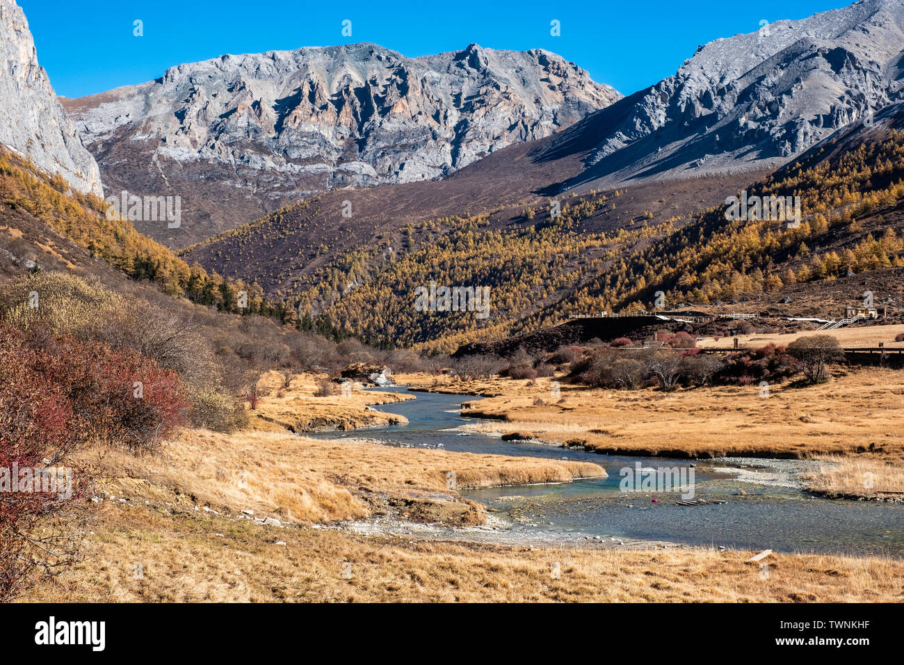 Sacred tibetan mountain with golden meadow and river in autumn Stock ...