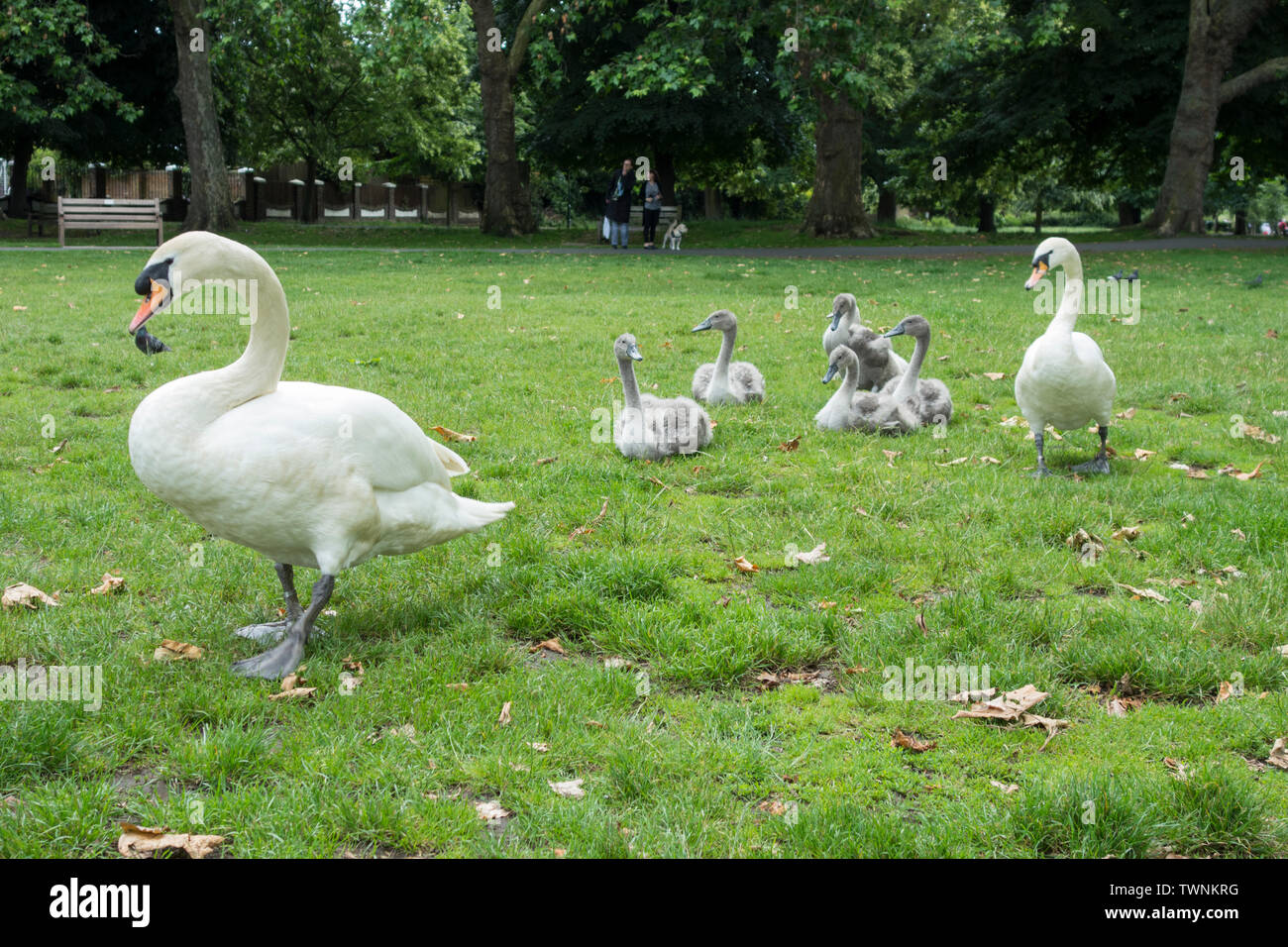 Line astern hi-res stock photography and images - Alamy