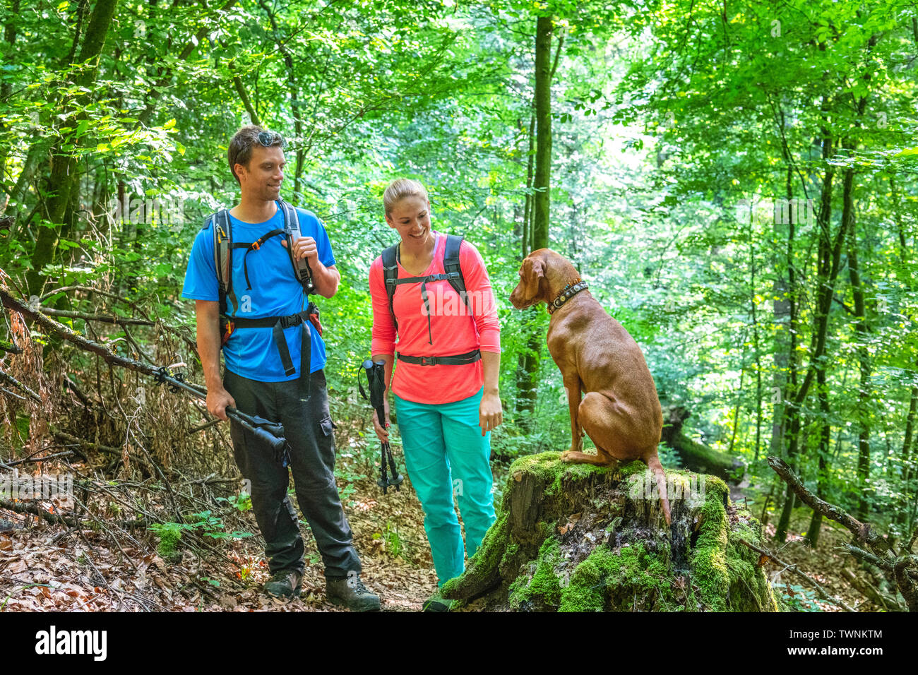 Hike with dog hi-res stock photography and images - Alamy