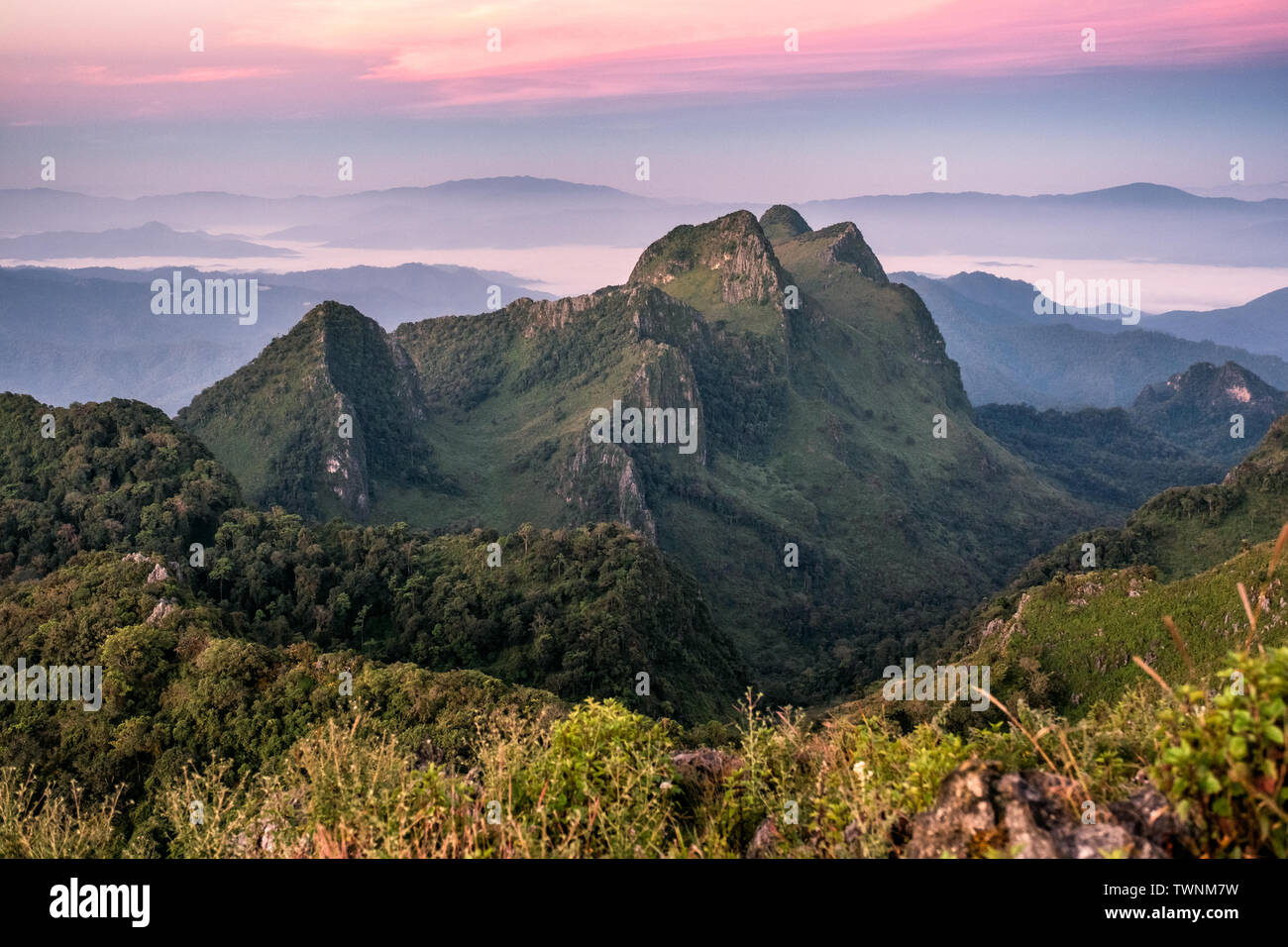 Doi chiang dao wildlife hi-res stock photography and images - Alamy