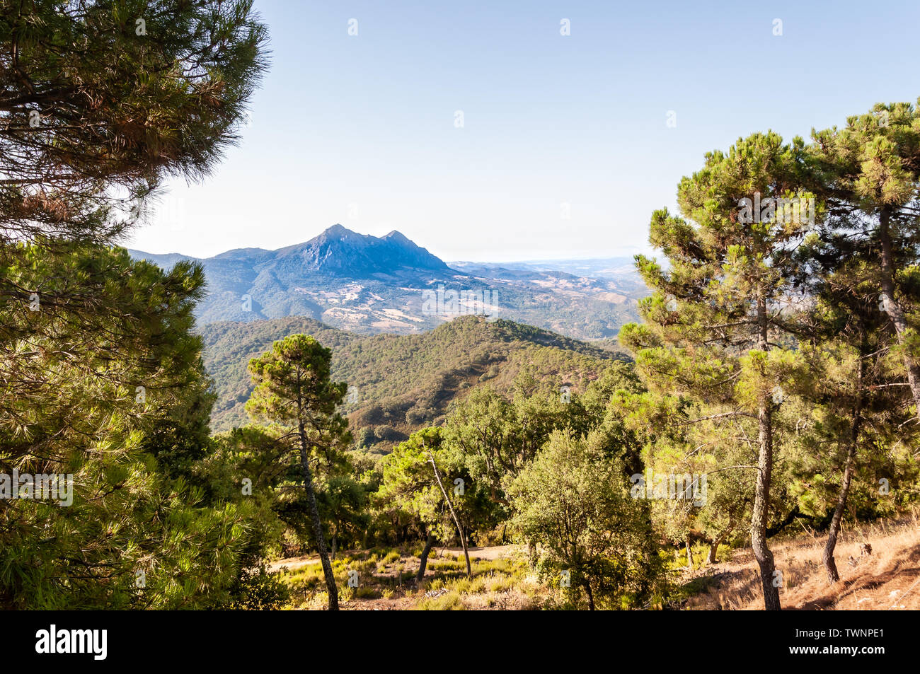 Península occidental hi-res stock photography and images - Alamy