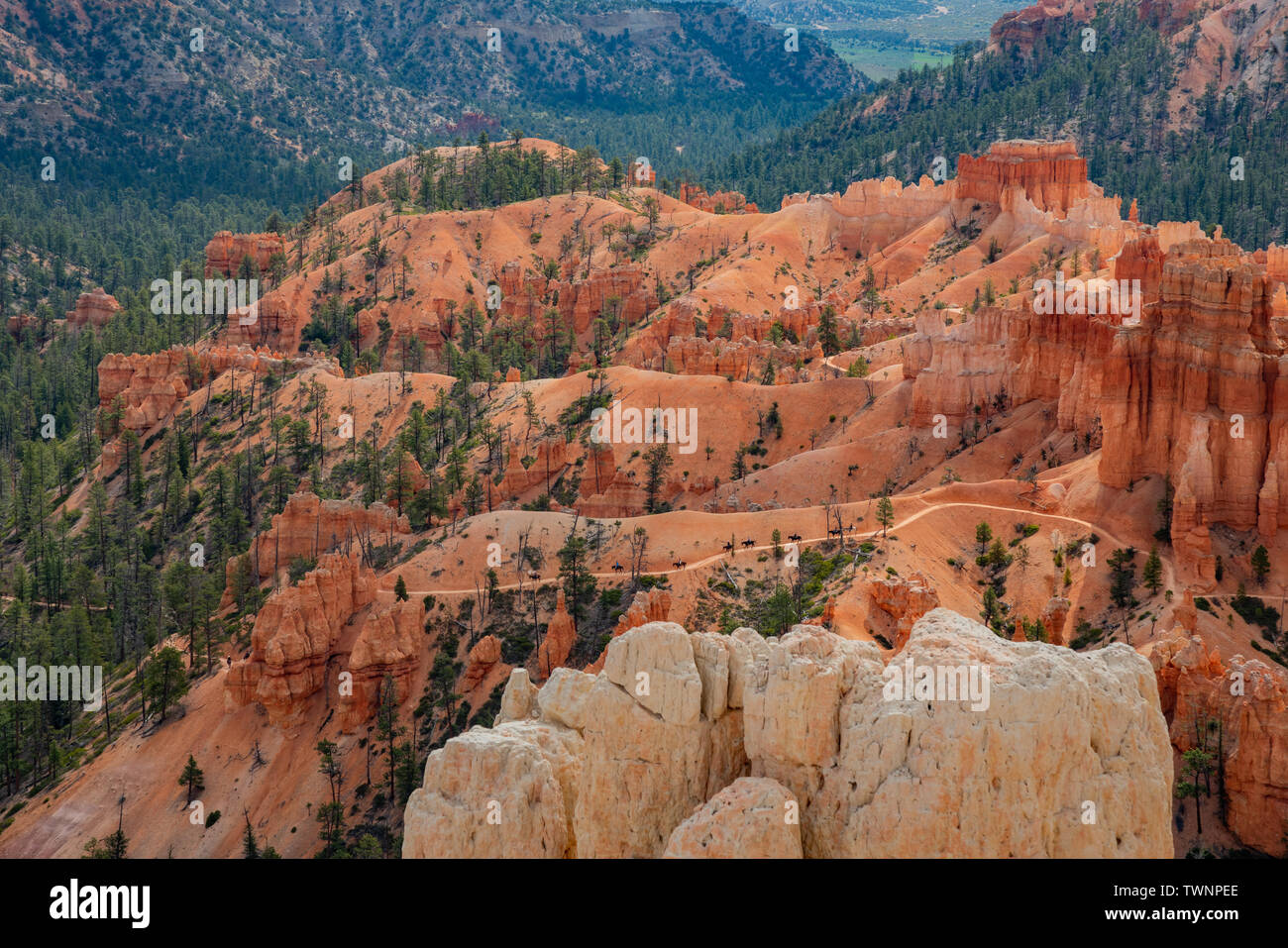 Morning view of the famous Bryce Canyon National Park from Inspiration ...