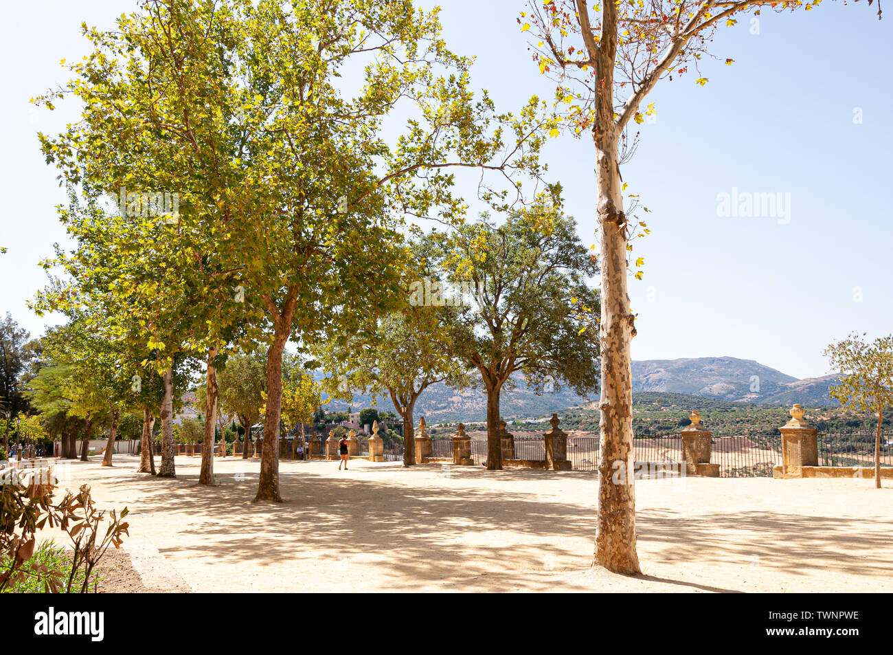 Alameda del Tajo Park and Garden in Ronda, Andalusia, Spain Stock Photo ...