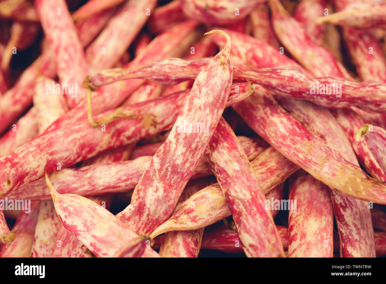 Fresh red string beans from Madeira island Stock Photo - Alamy