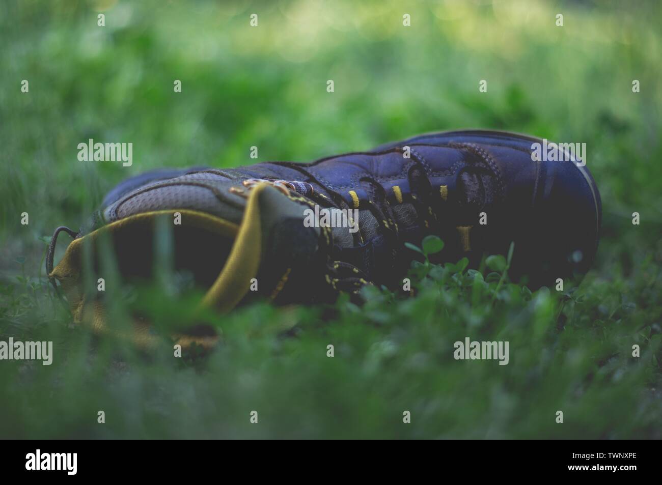 Single isolated boot on the ground in a park Stock Photo - Alamy