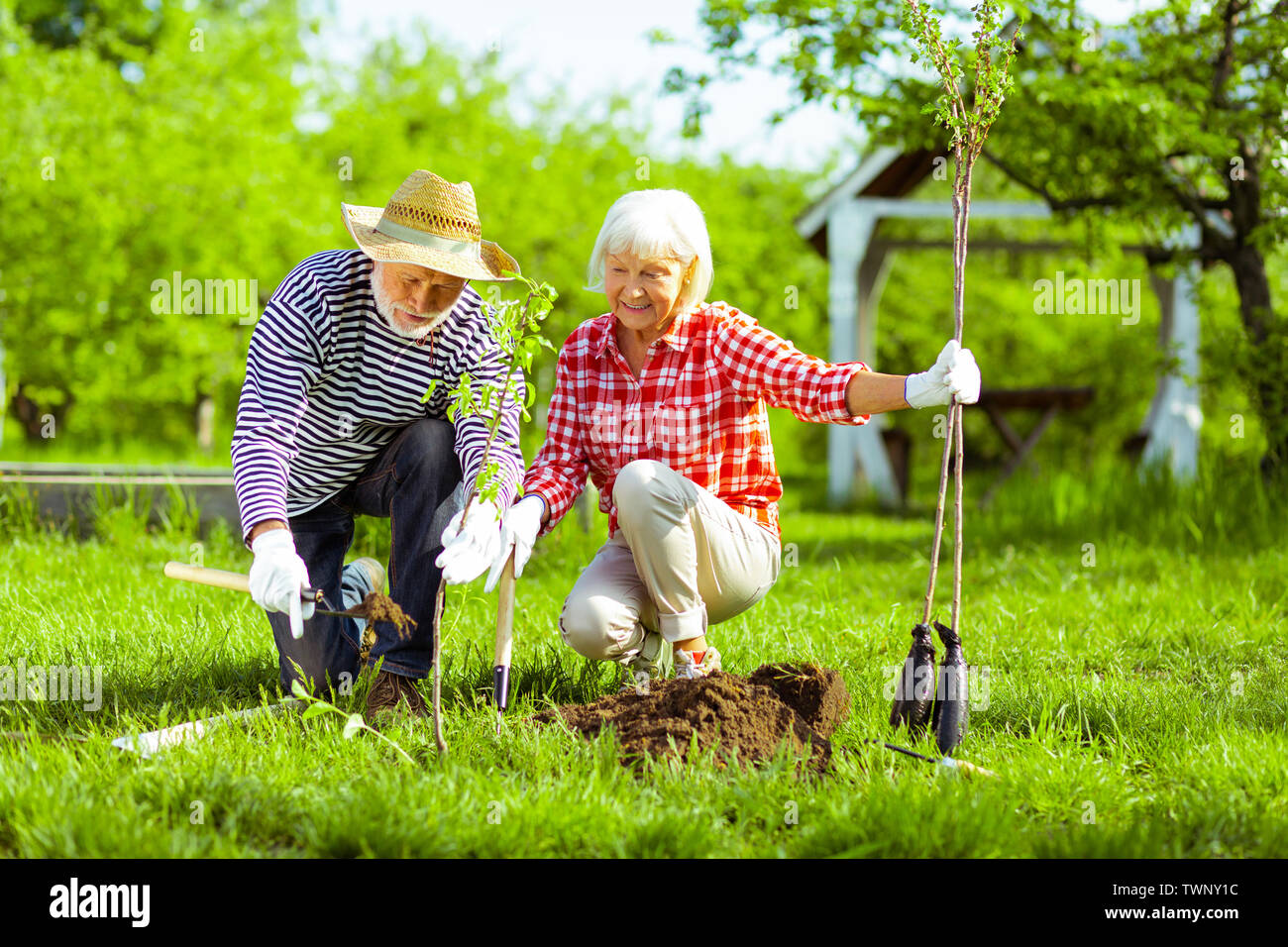 Helpful husband. Loving retired husband helping his beautiful wife with ...