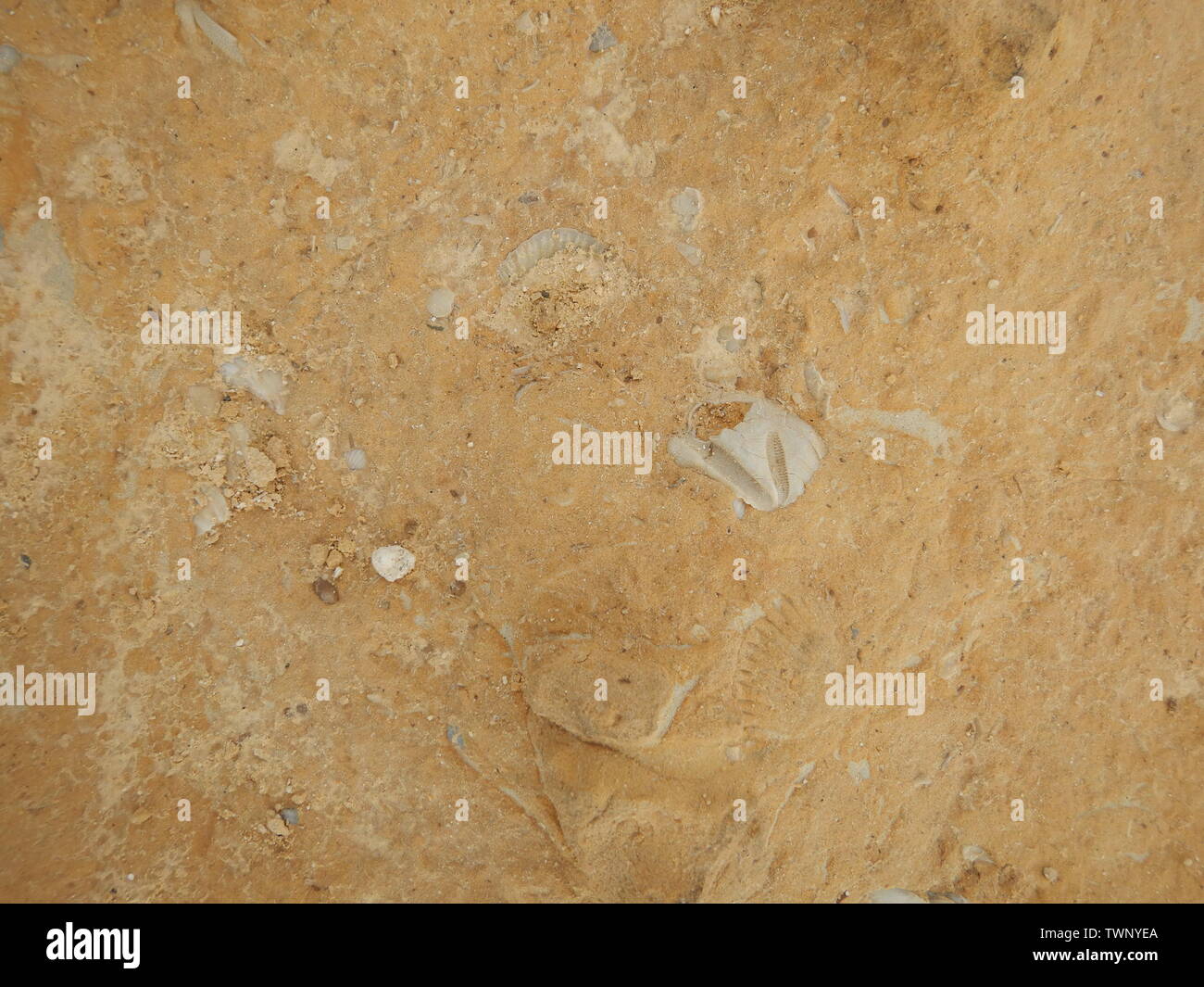 Brown stone texture hi-res stock photography and images - Alamy