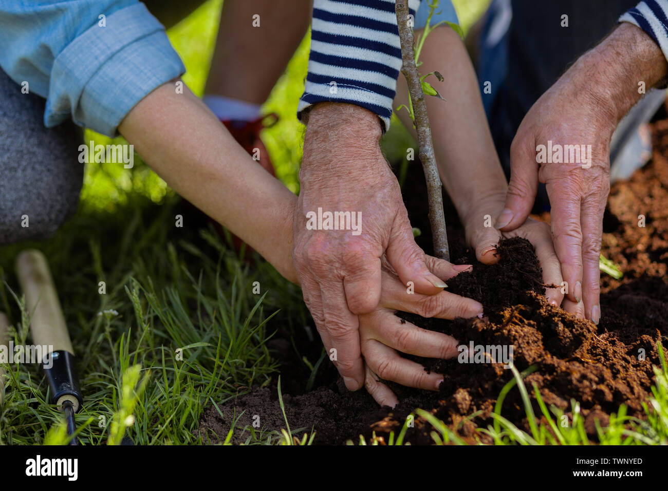 Couple planting. Top view of retired husband and wife loving nature ...