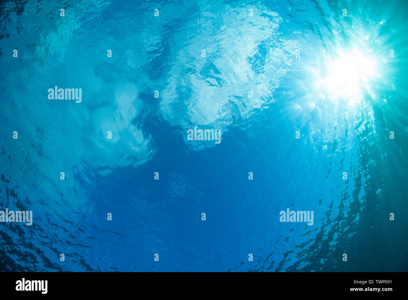 Through ocean surface hi-res stock photography and images - Alamy