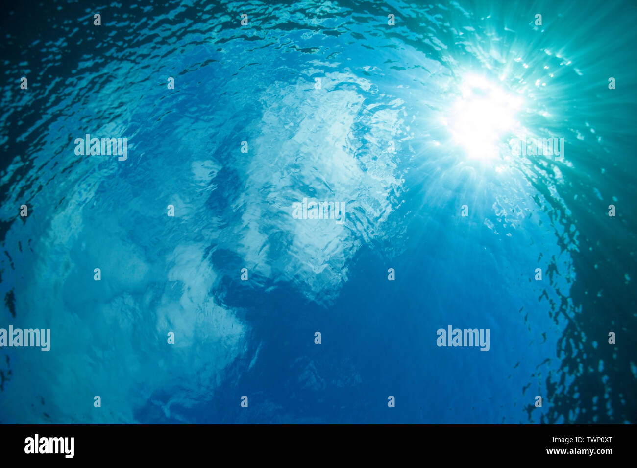 Sunlight streaming through the surface of the Pacific Ocean Stock Photo ...