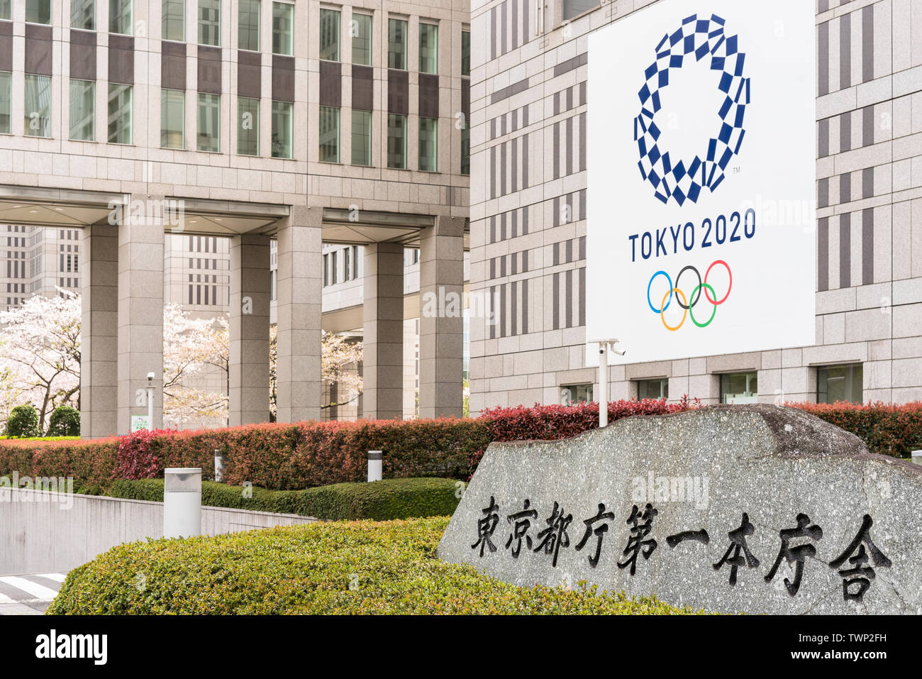 Promotional poster for the 2019 Olympic and Paralympic Summer Games to ...