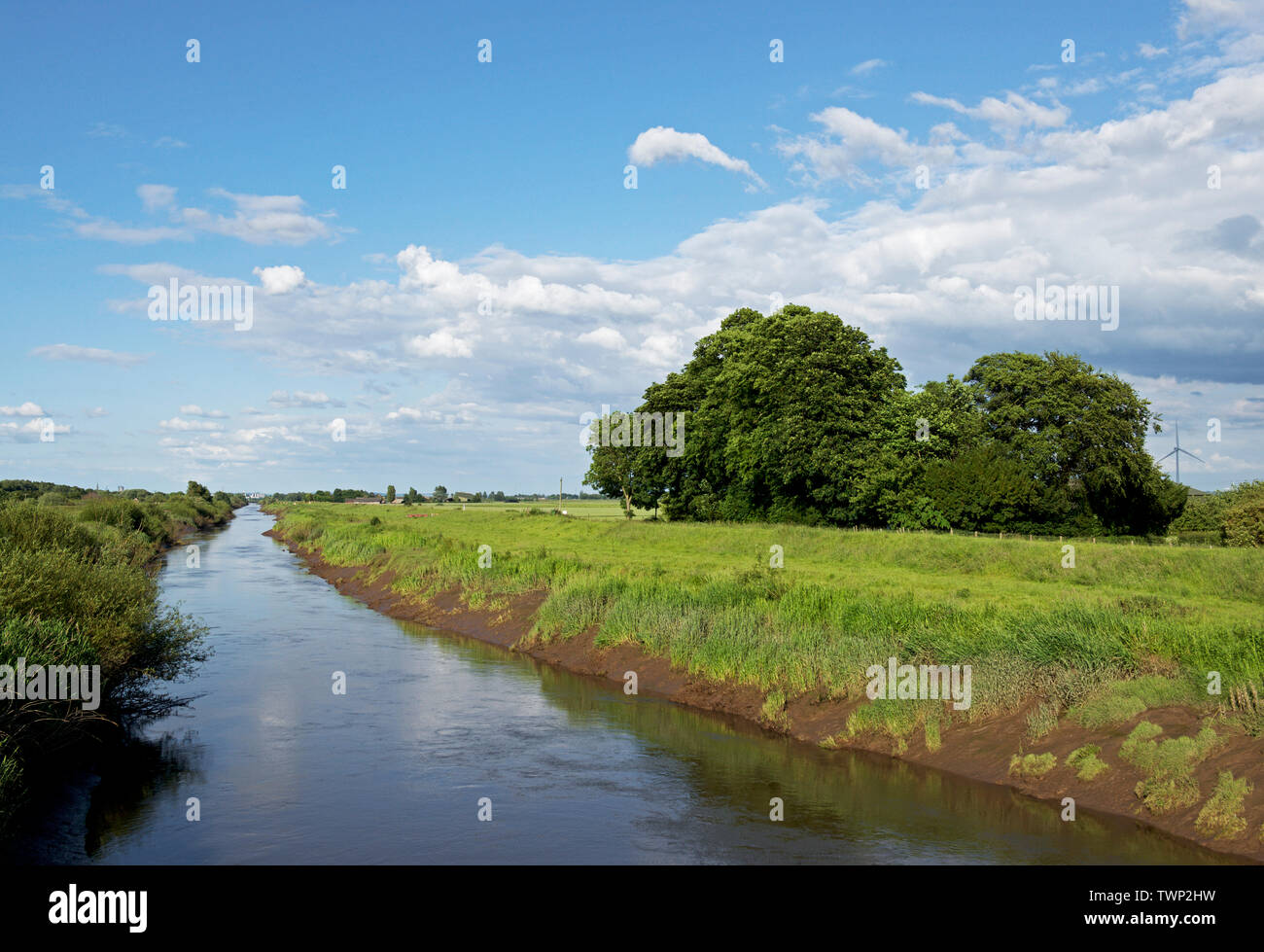 The Dutch River at Rawcliffe Bridge, East Yorkshire, England UK Stock ...