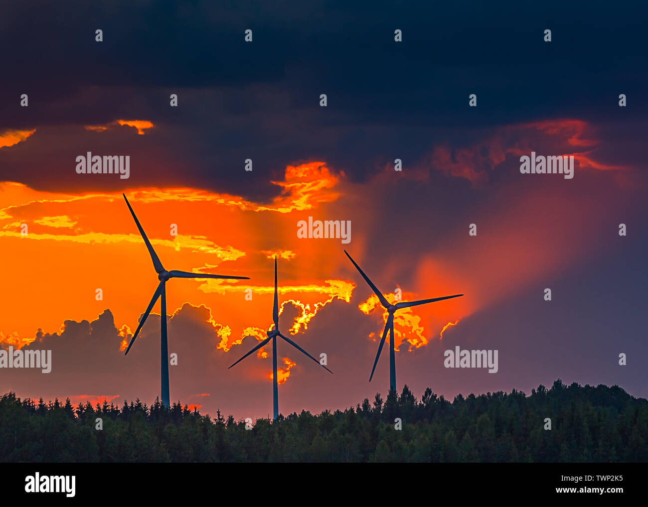 Four Wind turbines in the evening light Stock Photo - Alamy
