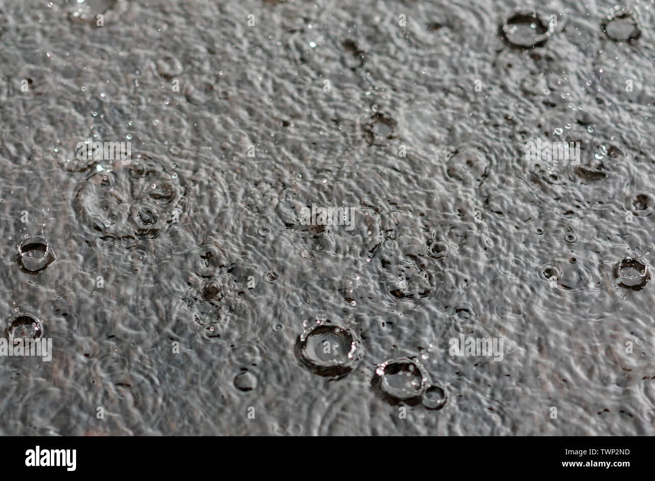 rain gray background. Drops on a puddle Stock Photo - Alamy