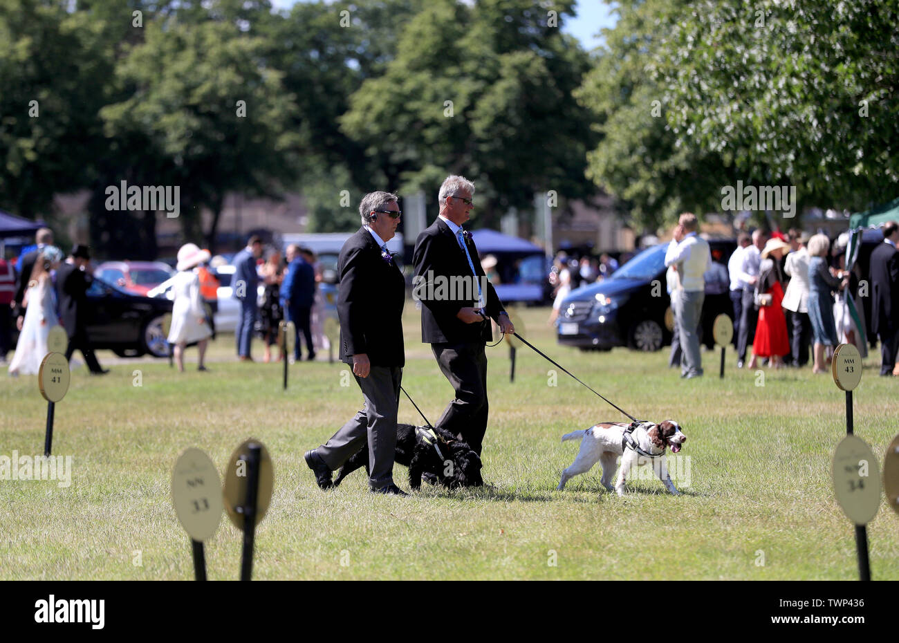 Security with sniffer dogs during day five of Royal Ascot at Ascot ...