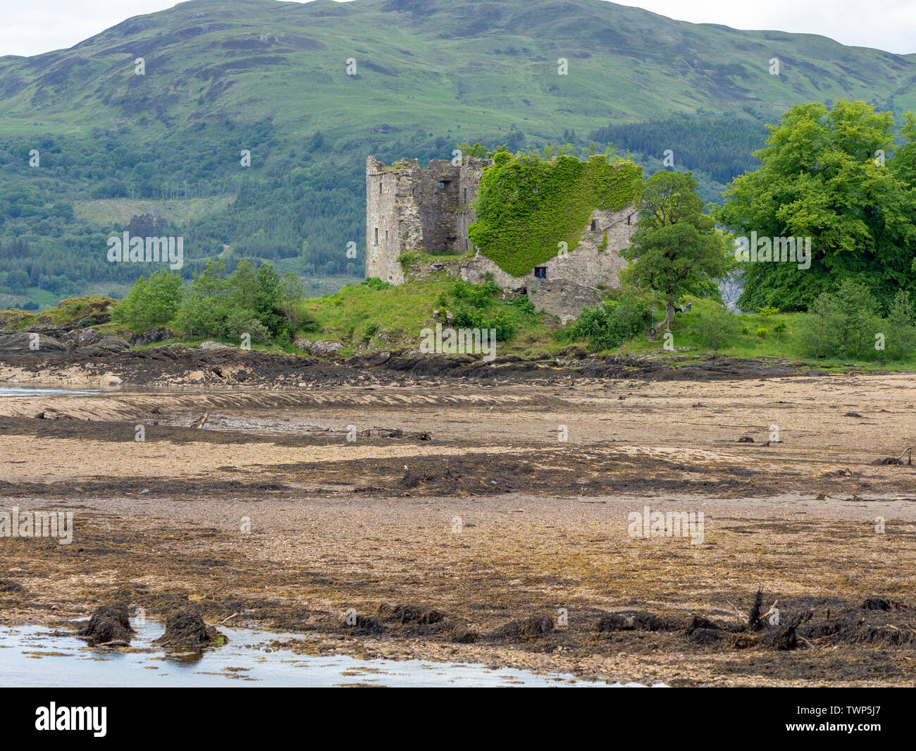 OLd Castle Lachlan at Lachlan Bay, Argyll, Scotland, UK Stock Photo - Alamy