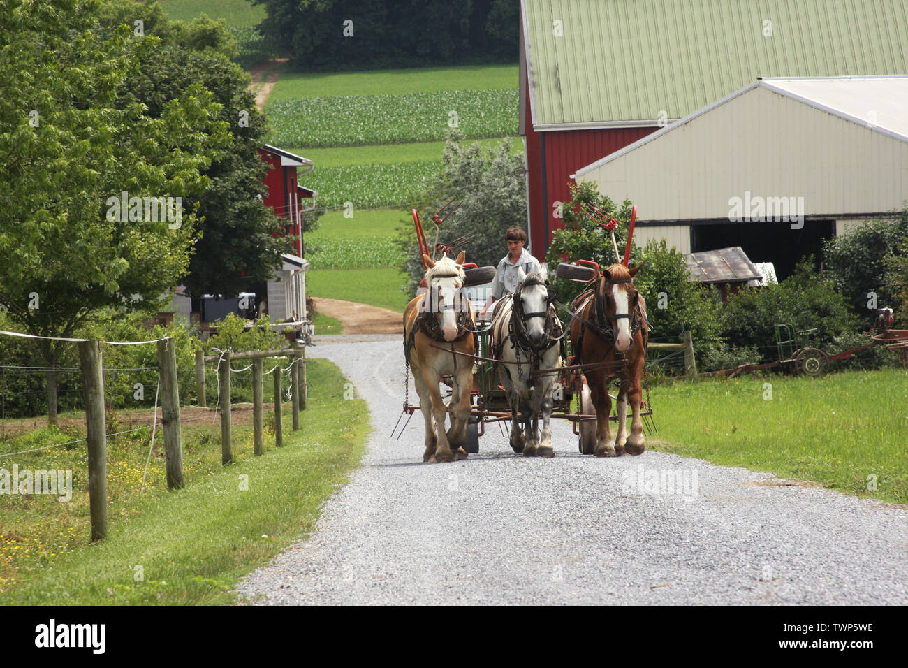 Amish farmers farm people hi-res stock photography and images - Alamy