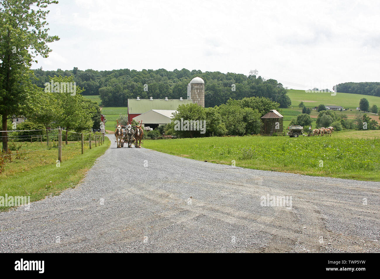 Amish farmers farm people hi-res stock photography and images - Alamy