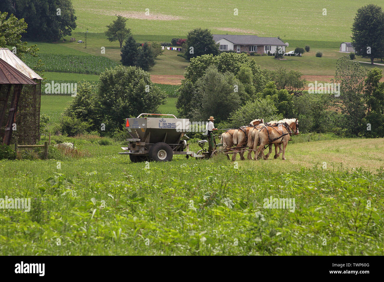 Traditional mennonite clothing hi-res stock photography and images - Alamy