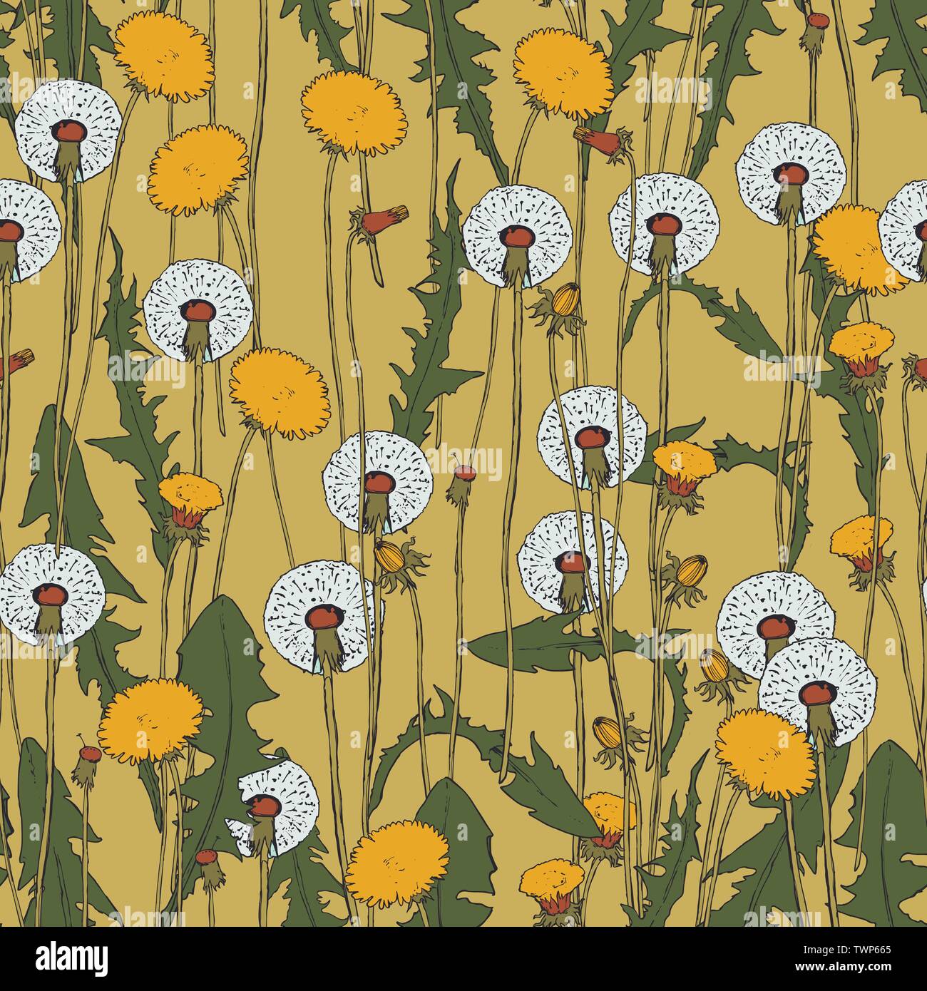 Dandelion botanical isolated illustration, hand drawn plant Stock ...