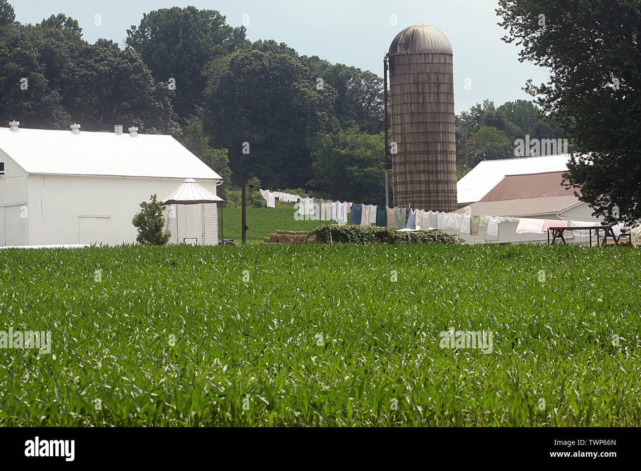 Amish laundry hi-res stock photography and images - Alamy