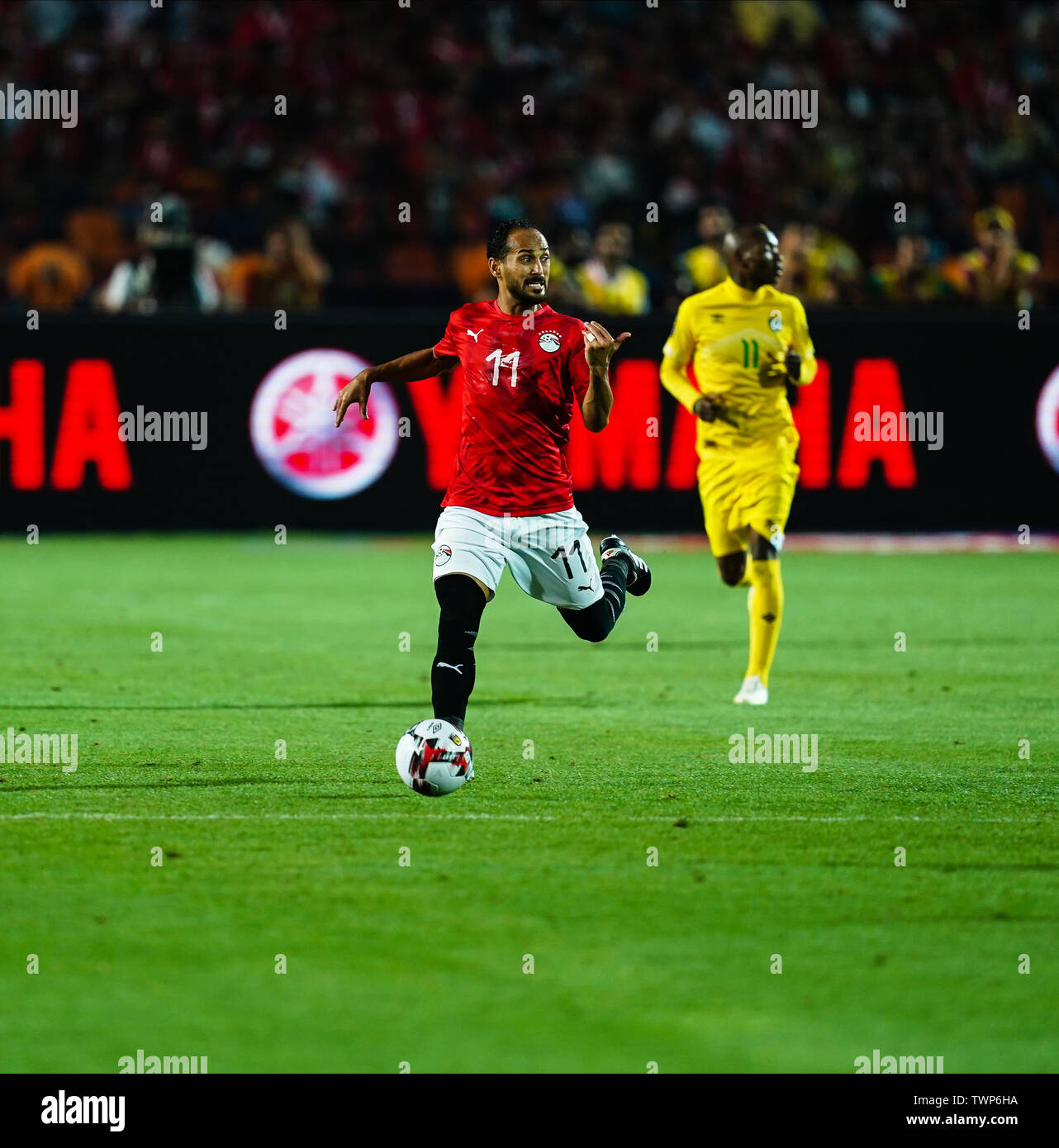 2019 351 jpg hi-res stock photography and images - Alamy