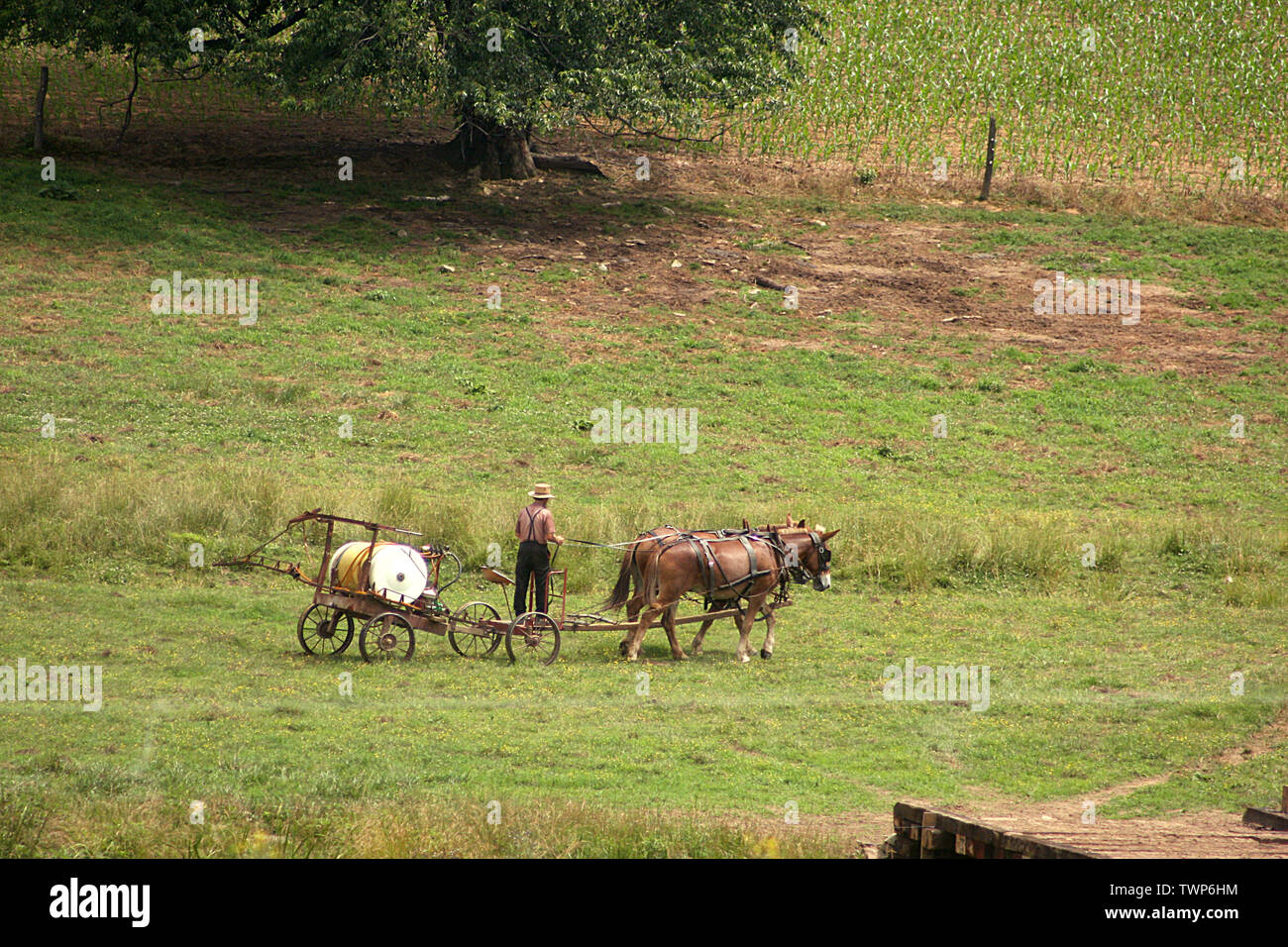 Amish man working on his property in Lancaster County, PA, USA Stock ...