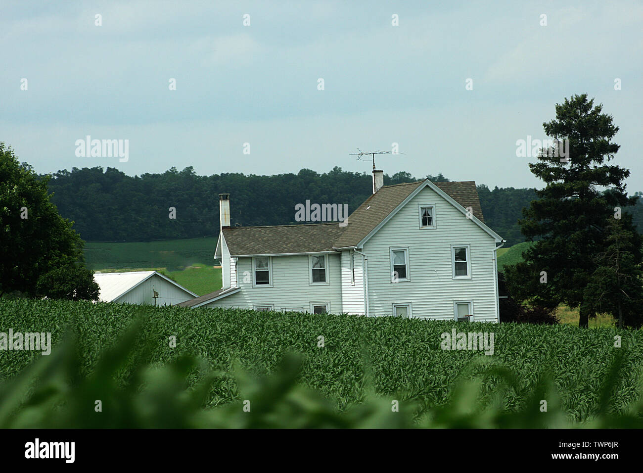 Farmhouse in cornfield hi-res stock photography and images - Alamy
