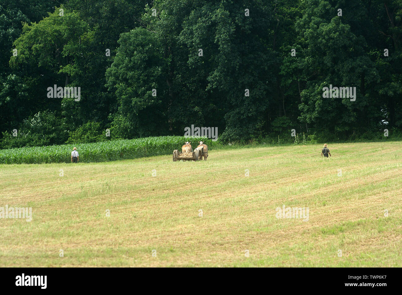 Amish boys hi-res stock photography and images - Alamy