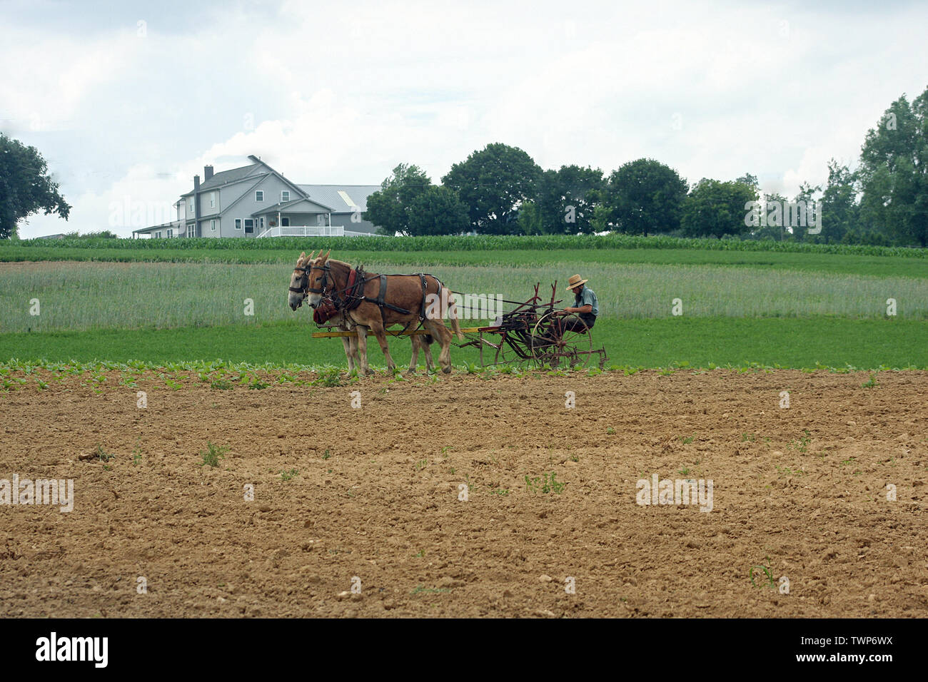 Amish people hi-res stock photography and images - Alamy