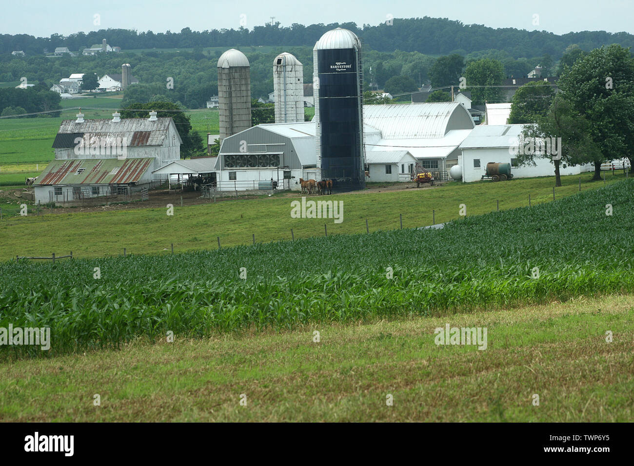 Amish building barn hi-res stock photography and images - Alamy
