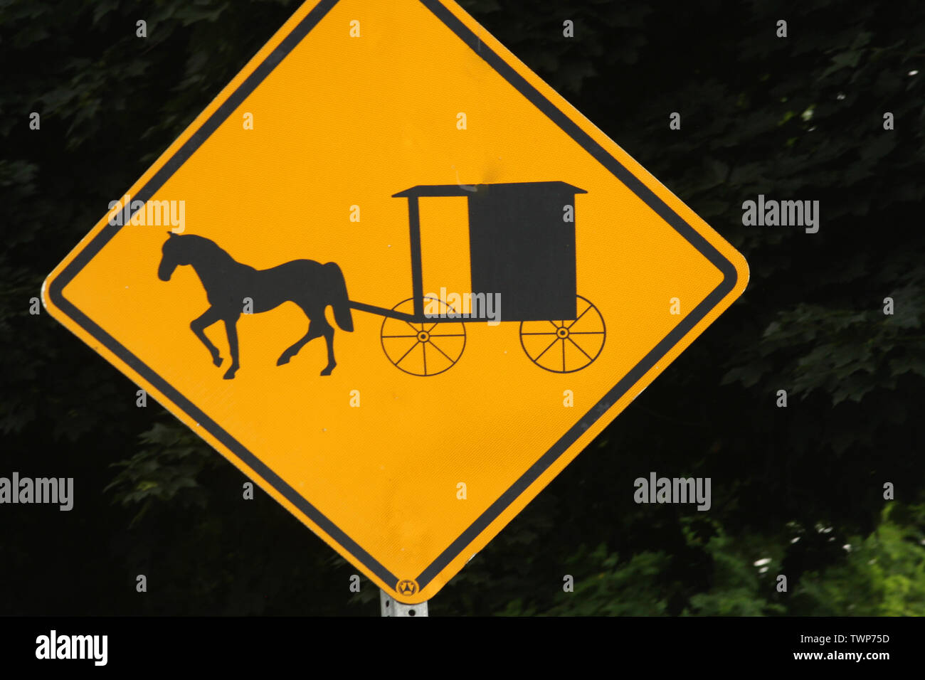 Amish buggy sign hi-res stock photography and images - Alamy