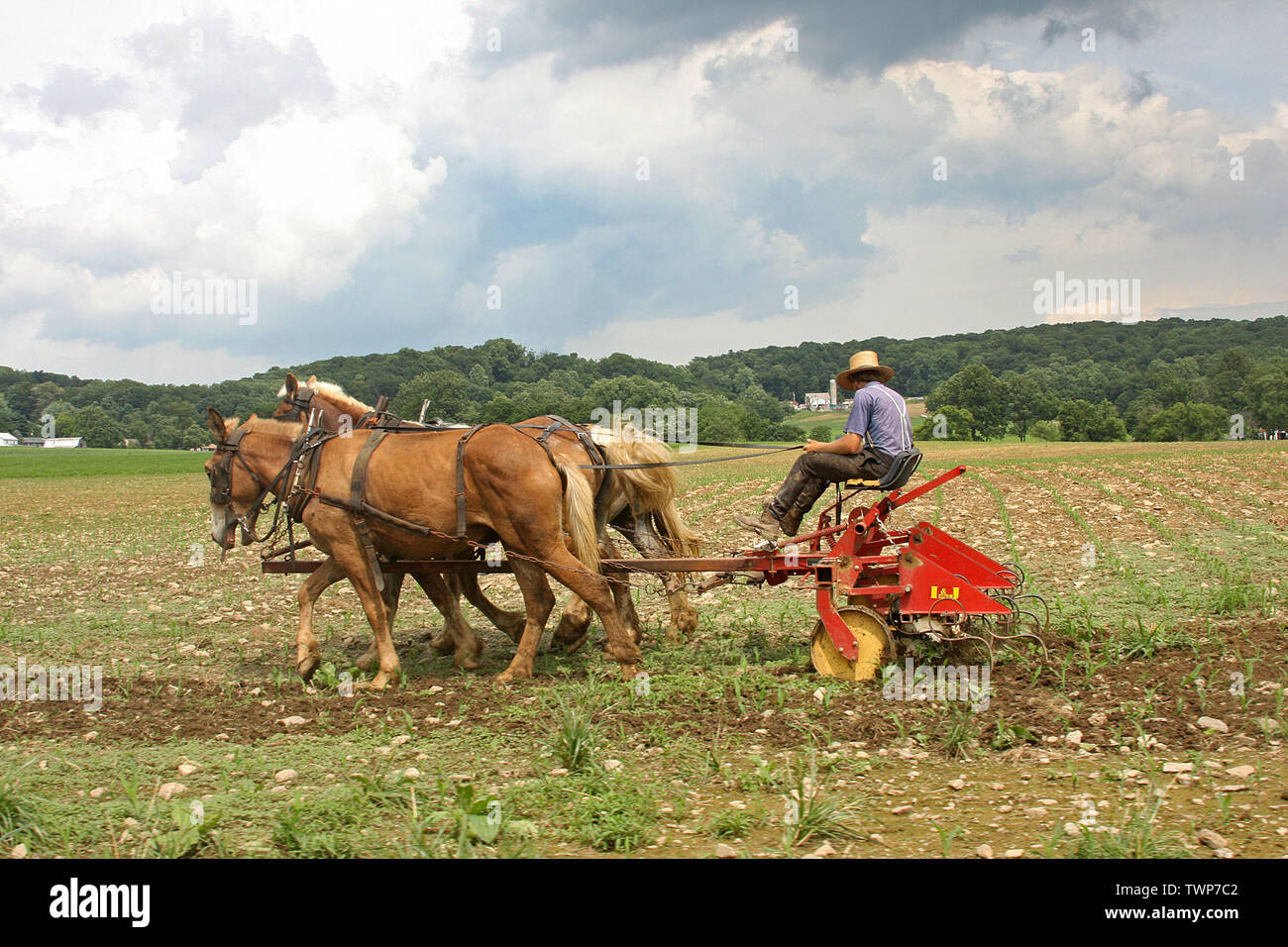 Amish Community High Resolution Stock Photography and Images - Alamy