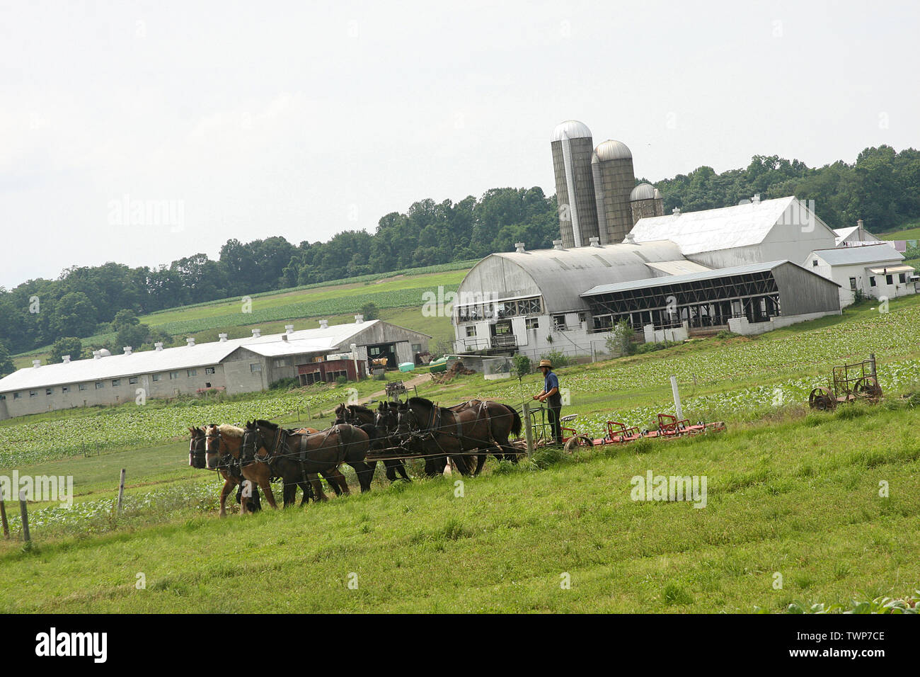 Amish farmers farm people hi-res stock photography and images - Alamy